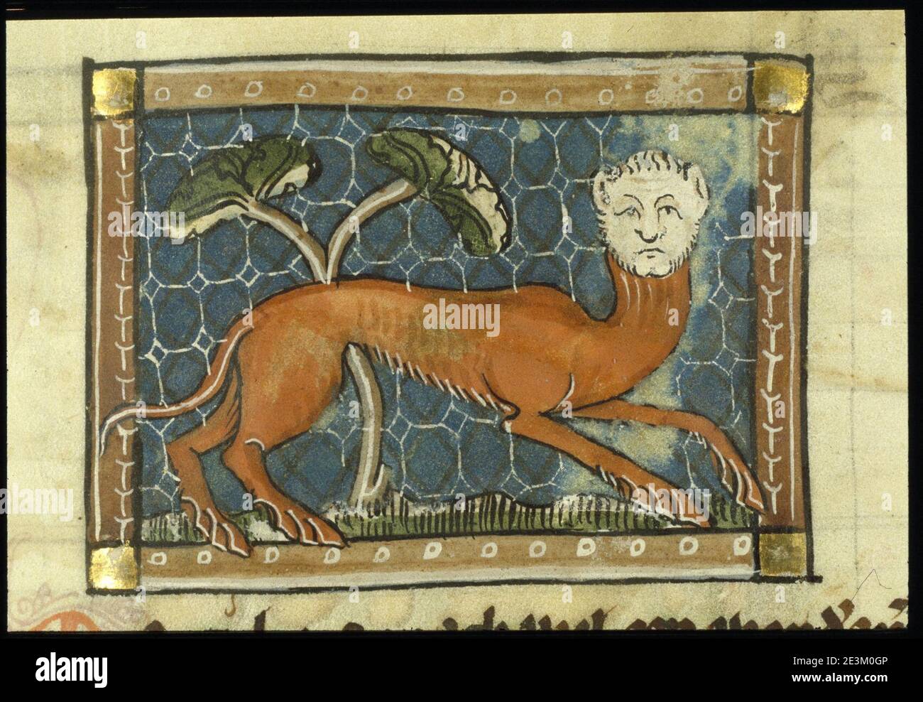 Mantichora (tiger) - Der naturen bloeme - Jacob van Maerlant - KB KA 16 ...