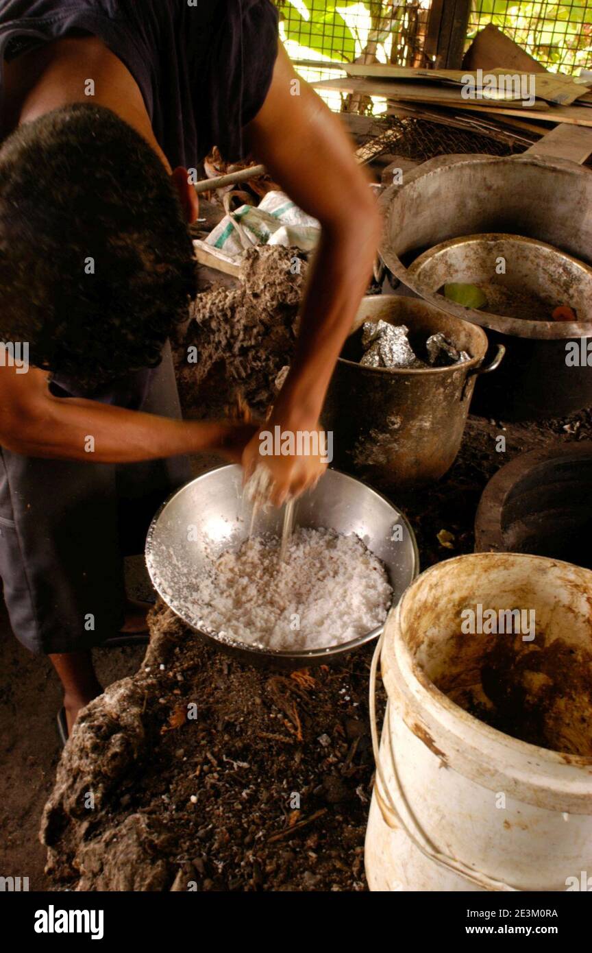 Making of Coconut Milk Stock Photo - Alamy