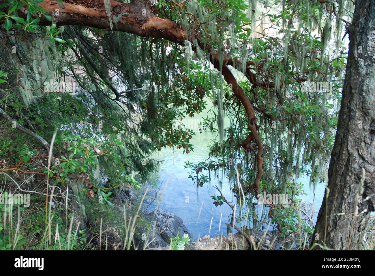 Sooke basin hi-res stock photography and images - Alamy