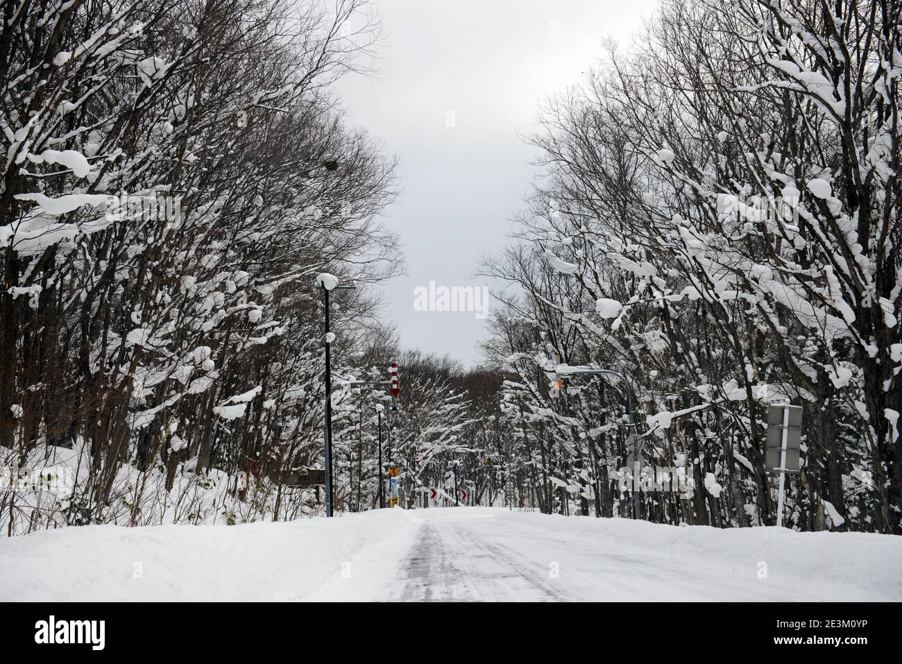 Heavy snow in the forests around Tokachi Dakeonsen in Hokkaido, Japan ...