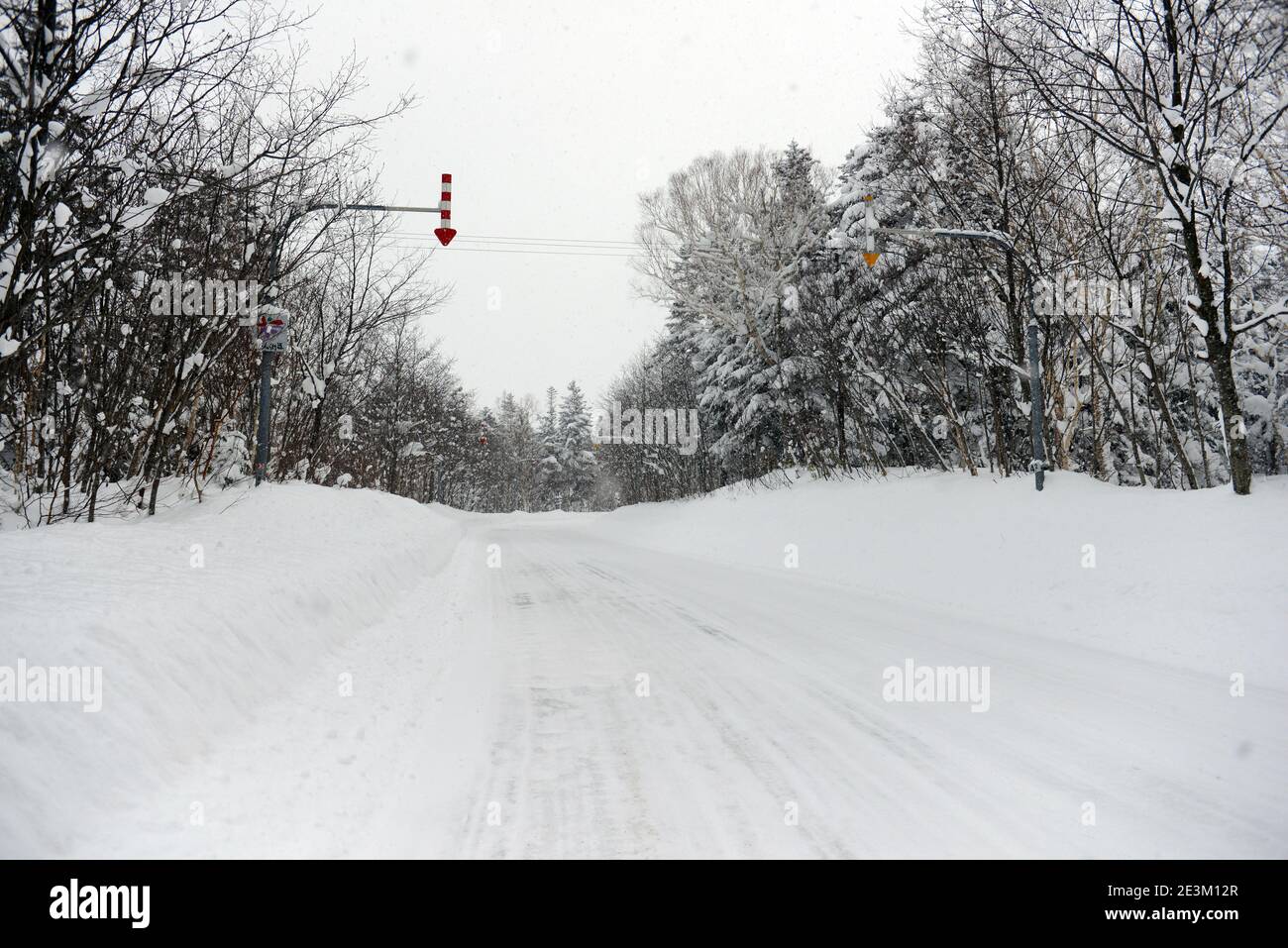 Heavy snow in the forests around Tokachi Dakeonsen in Hokkaido, Japan ...