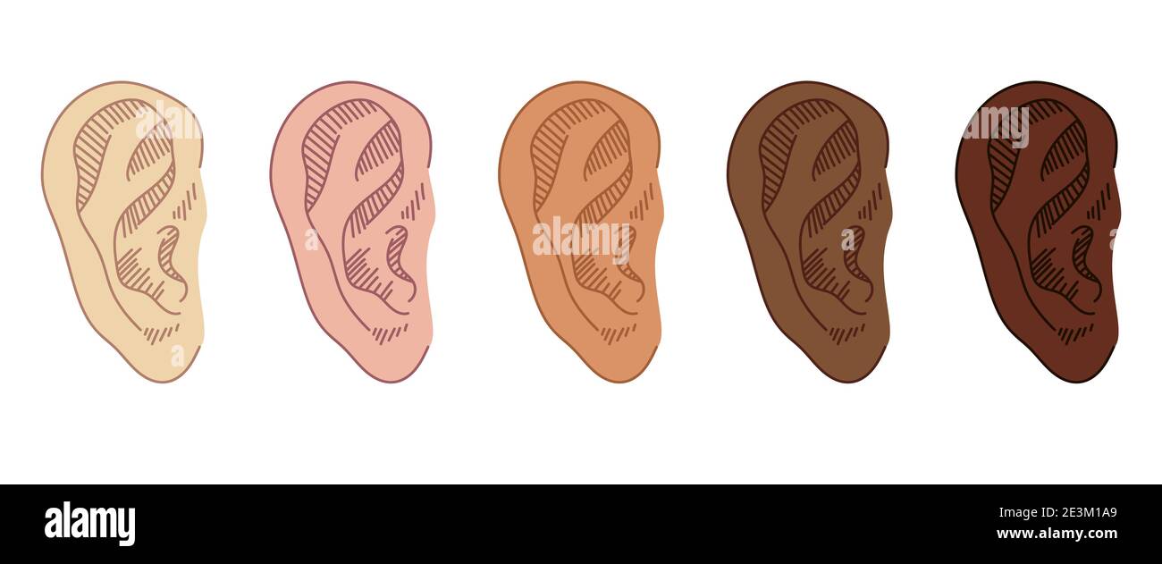 Set of Hand Drawn Ear Sketch Symbol with different skin color. Vector ...