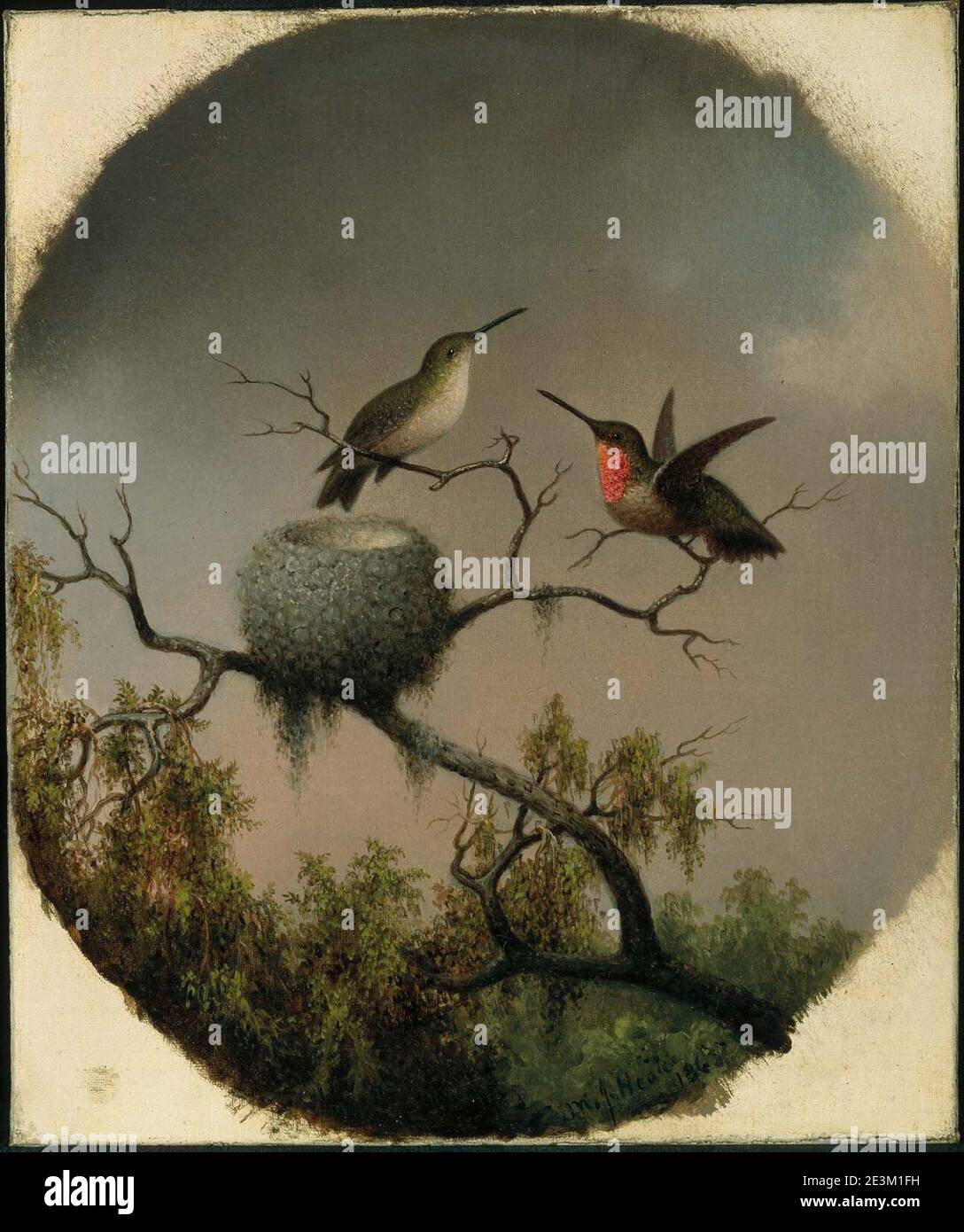 Martin Johnson Heade - Hummingbirds with Nest Stock Photo - Alamy
