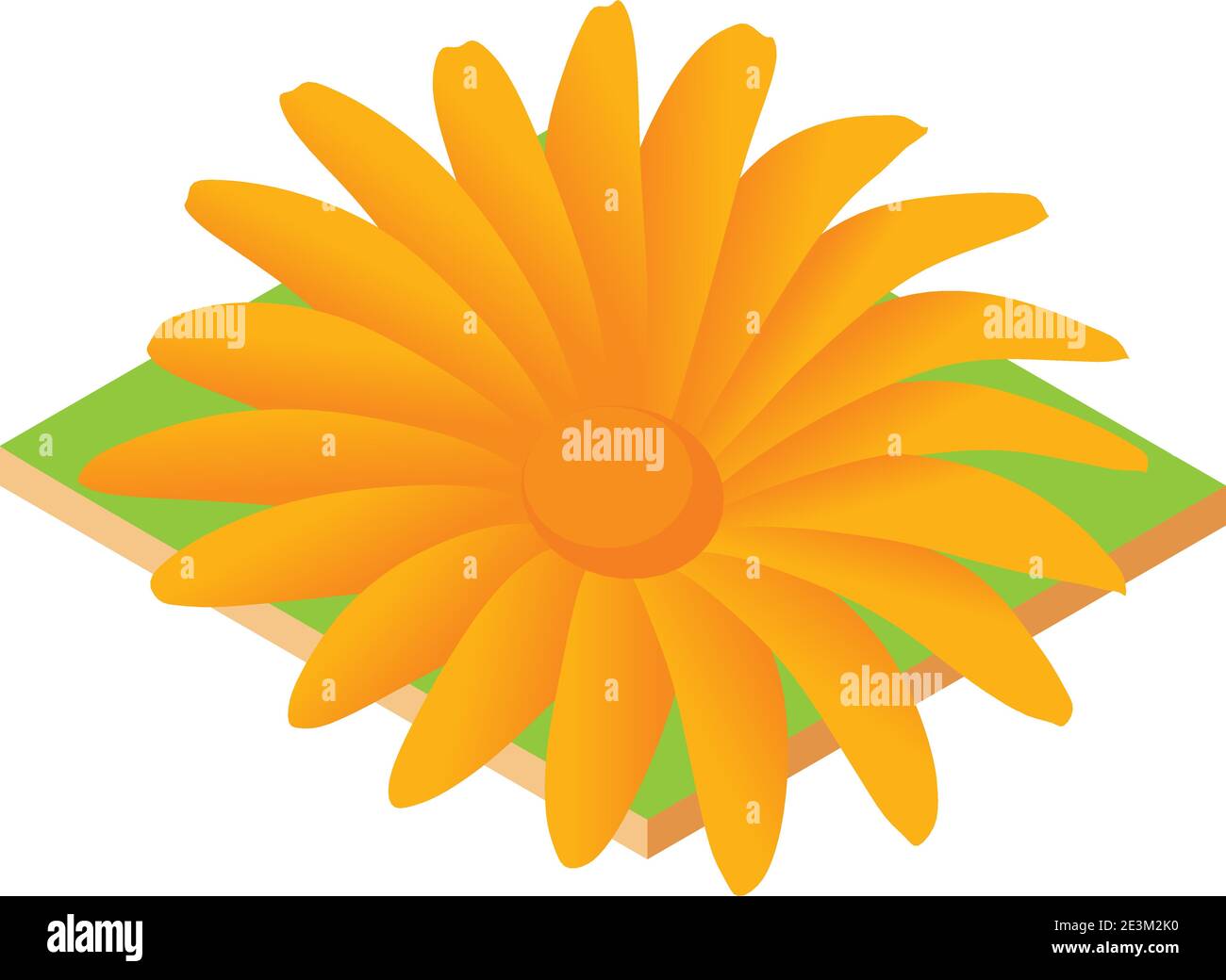 Orange flower icon. Isometric illustration of orange flower vector icon ...