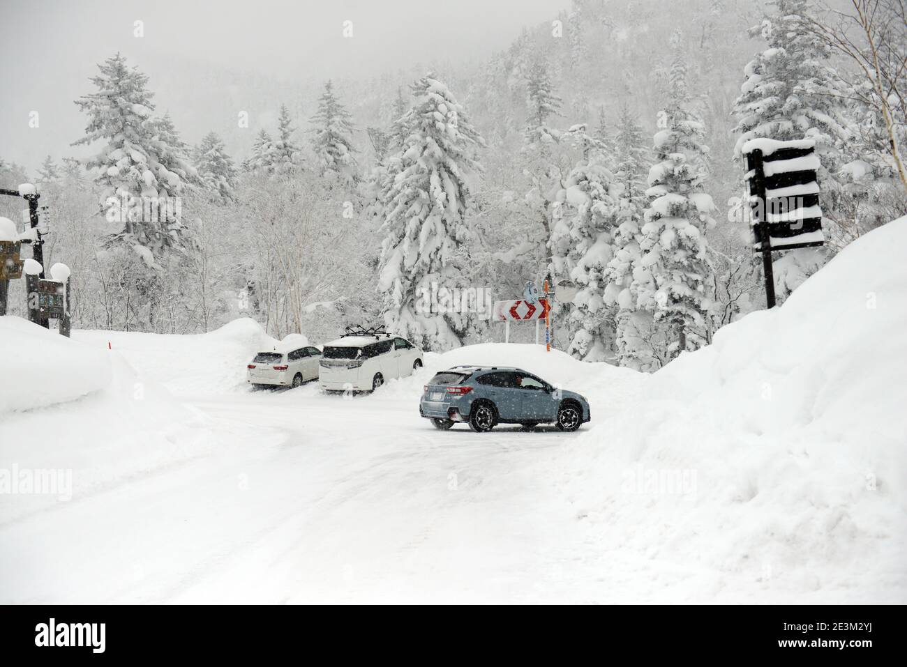 Heavy snow in the forests around Tokachi Dakeonsen in Hokkaido, Japan ...