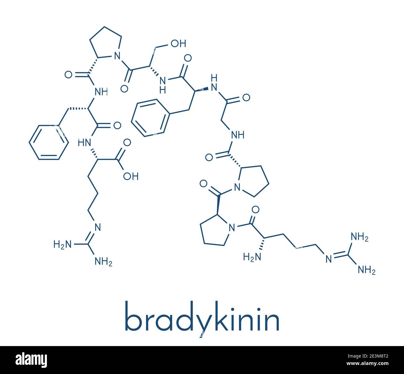 Bradykinin peptide molecule. Skeletal formula Stock Vector Image & Art ...