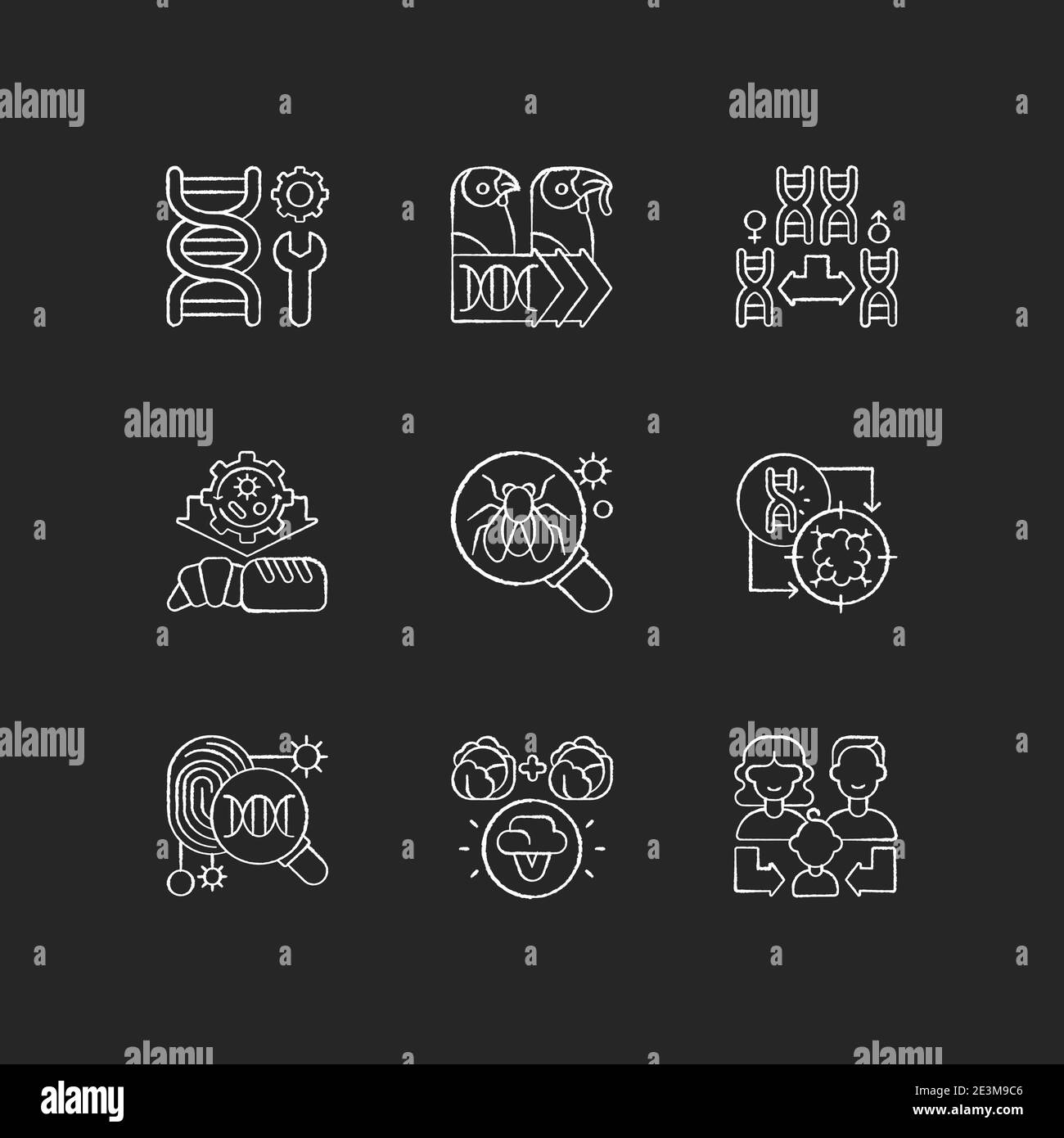 Genetics chalk white icons set on black background Stock Vector Image ...