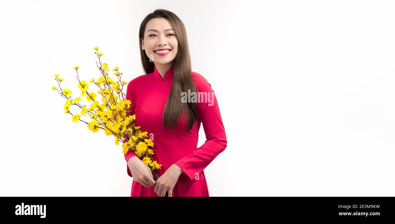 Beautiful asian woman in red dress Vietnamese style hold Hoa Mai tree ...