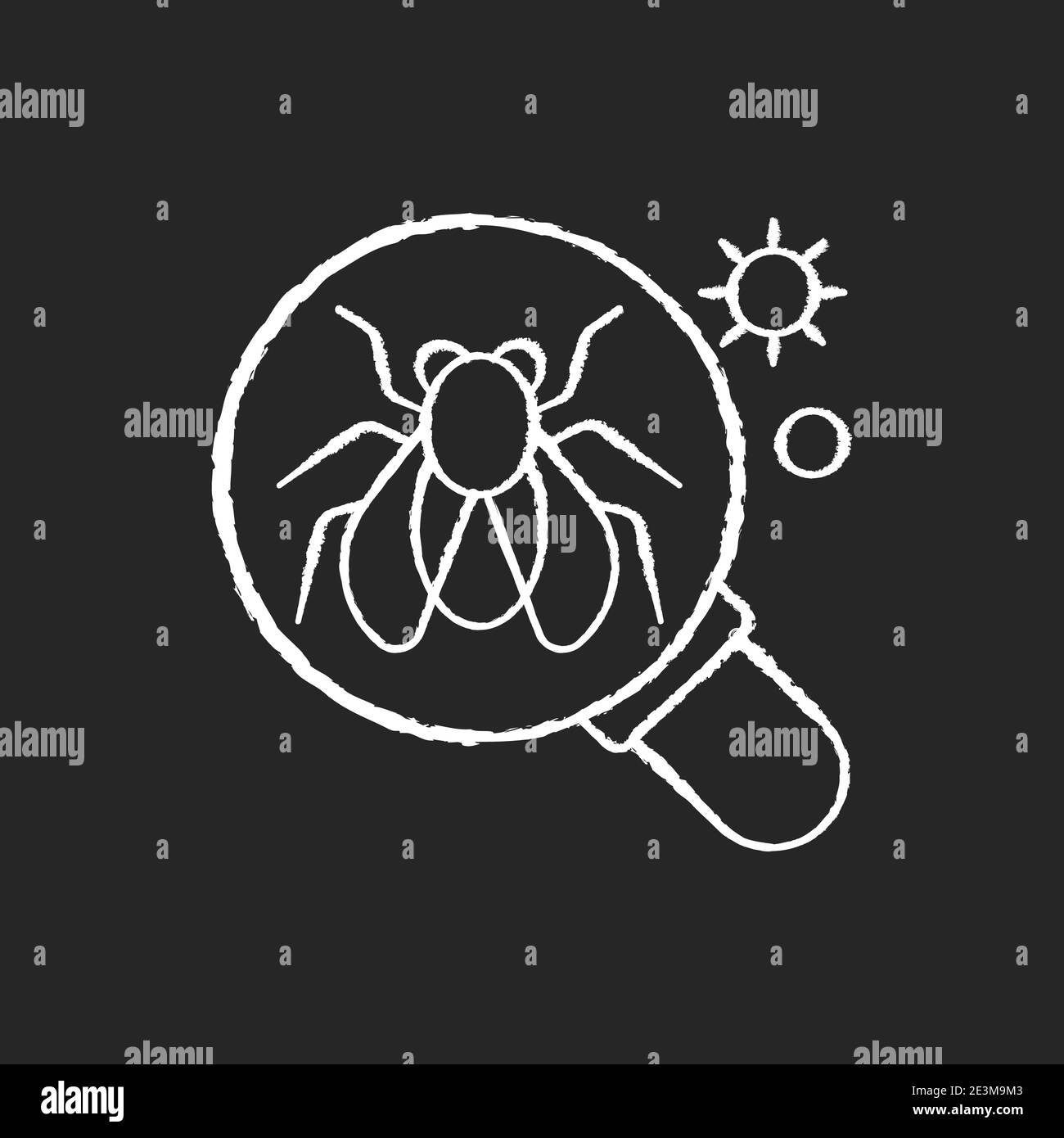 Insect model organism hi-res stock photography and images - Alamy