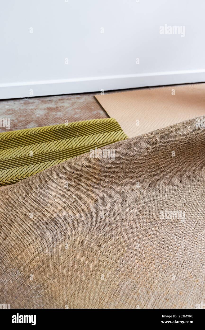 home improvement and DIY concept, ripping up the carpet and underlay ...