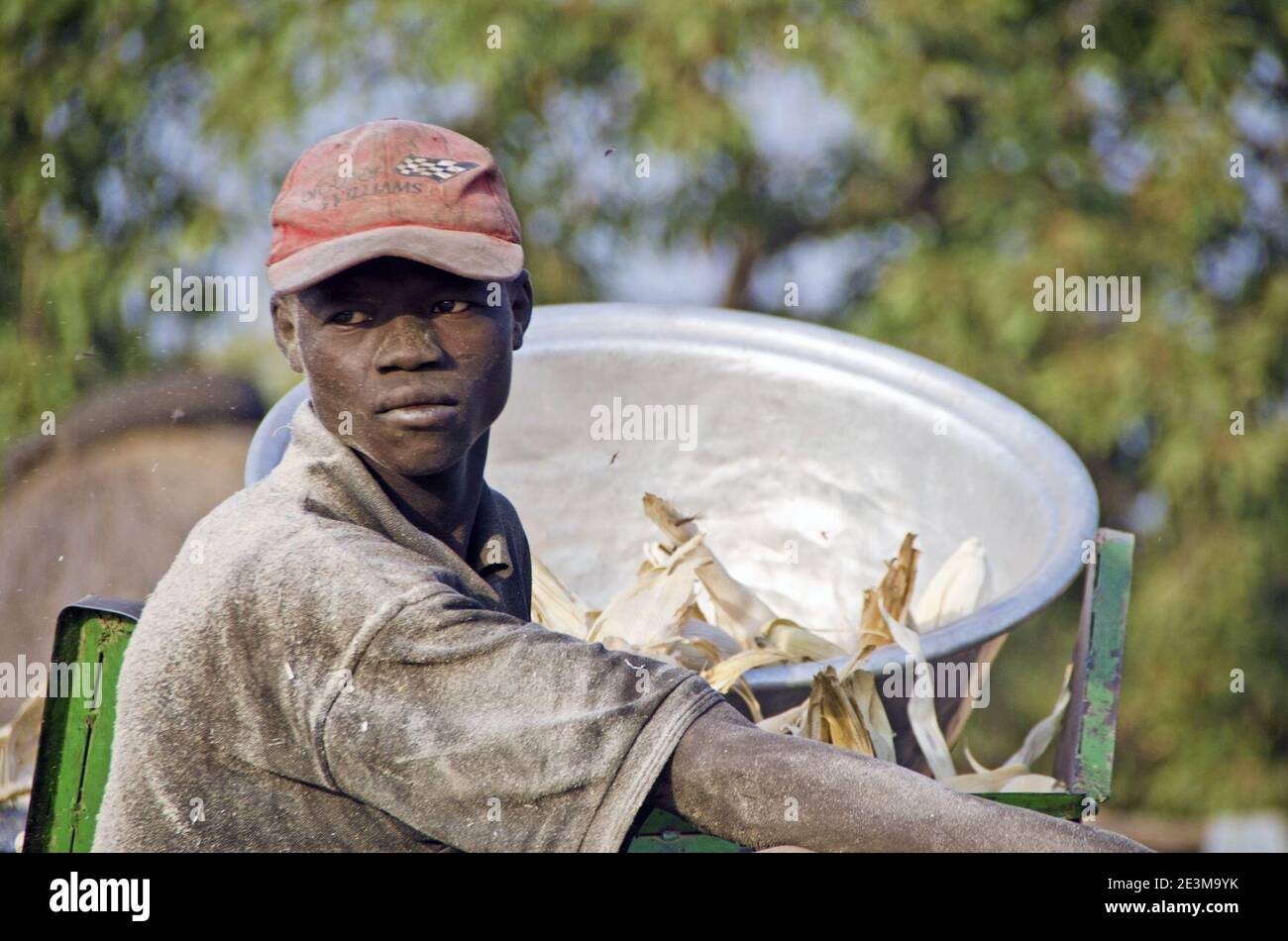 Maize Farmer in Ghana (8202282261 Stock Photo - Alamy