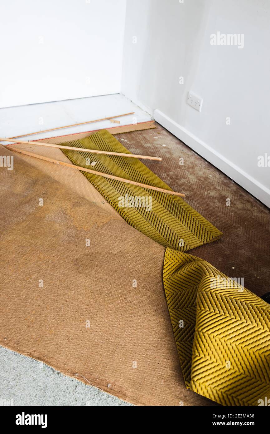 home improvement and DIY concept, ripping up the carpet and underlay ...