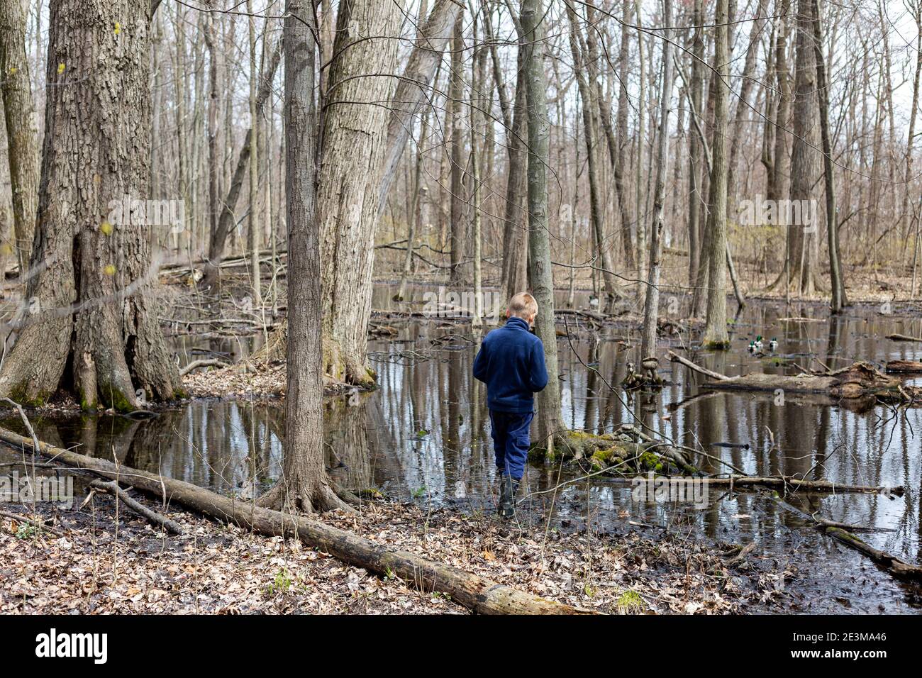 Indiana wetland preserve hi-res stock photography and images - Alamy