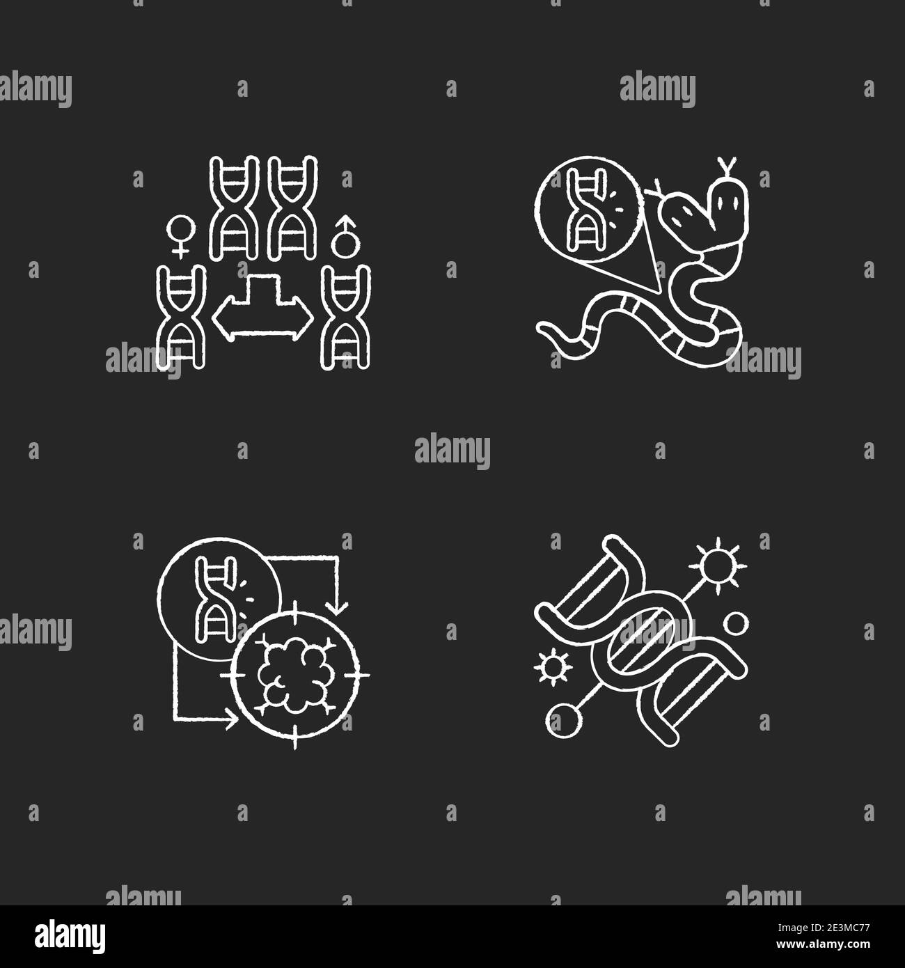 DNA manipulation chalk white icons set on black background Stock Vector ...