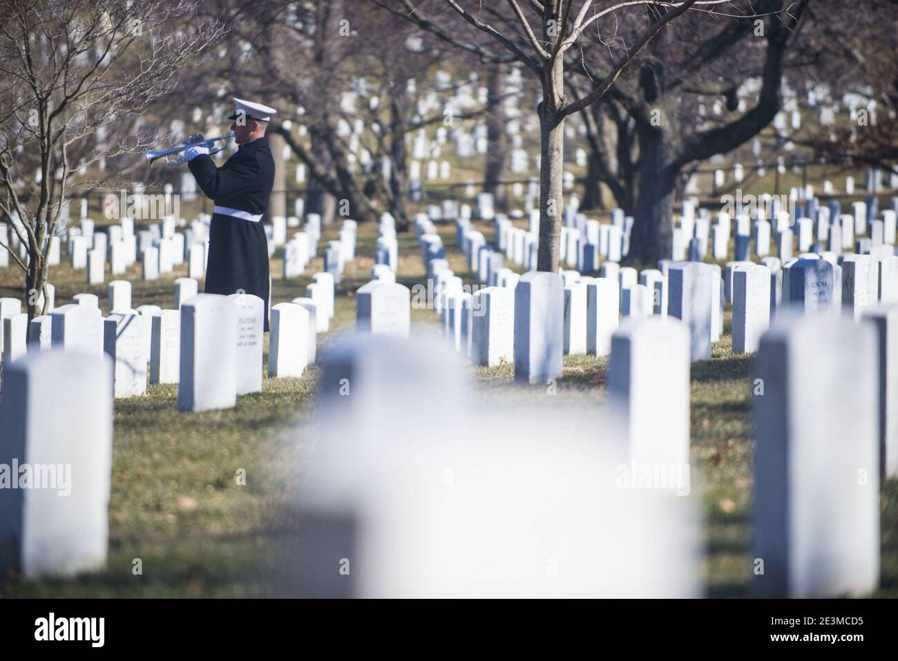 Marine Burial Feb 13, 2015 - bugler (16335943797 Stock Photo - Alamy