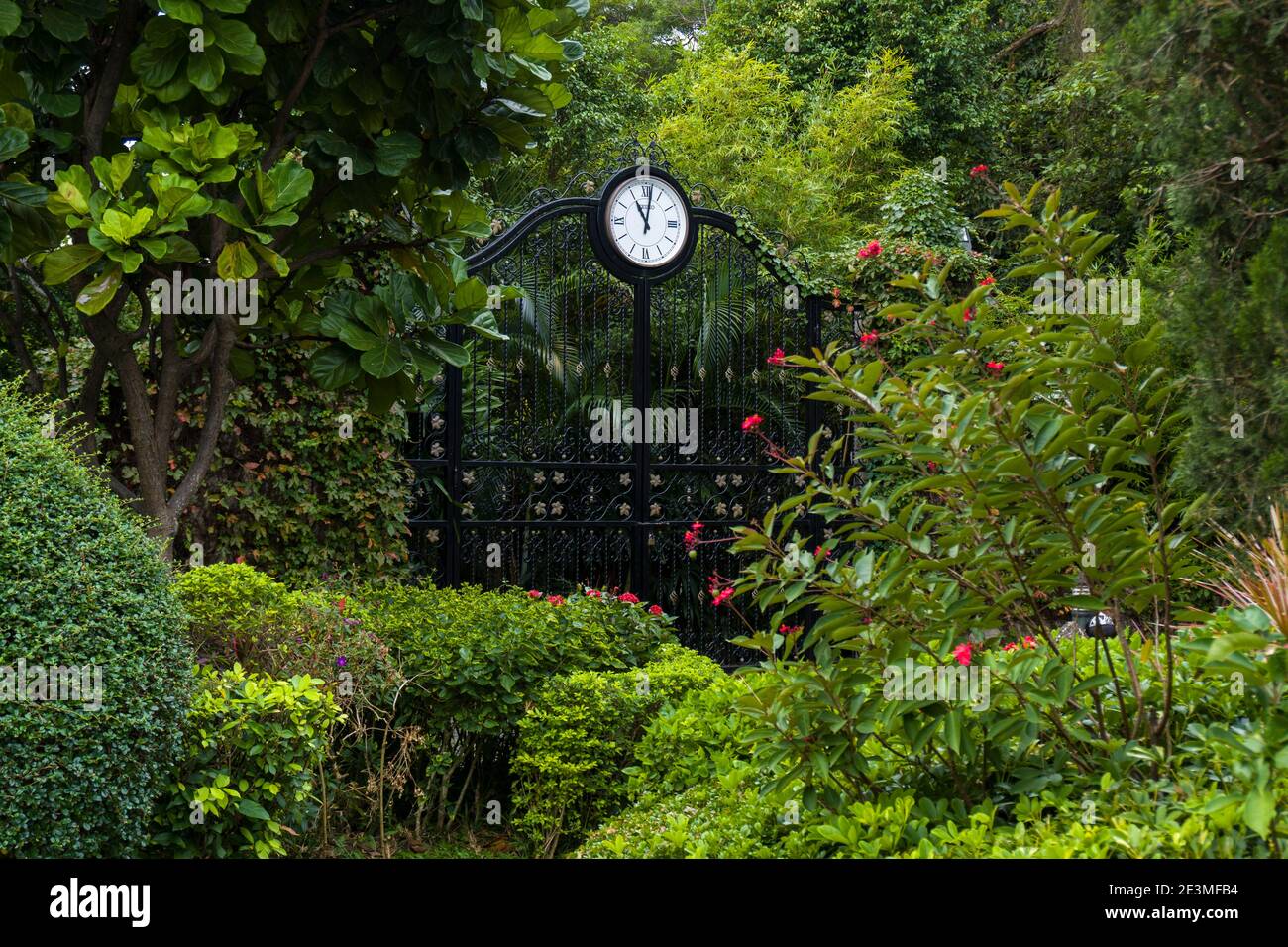 Hong Kong - November 2020 : Vintage Iron Gate with Roman Numerals Clock ...