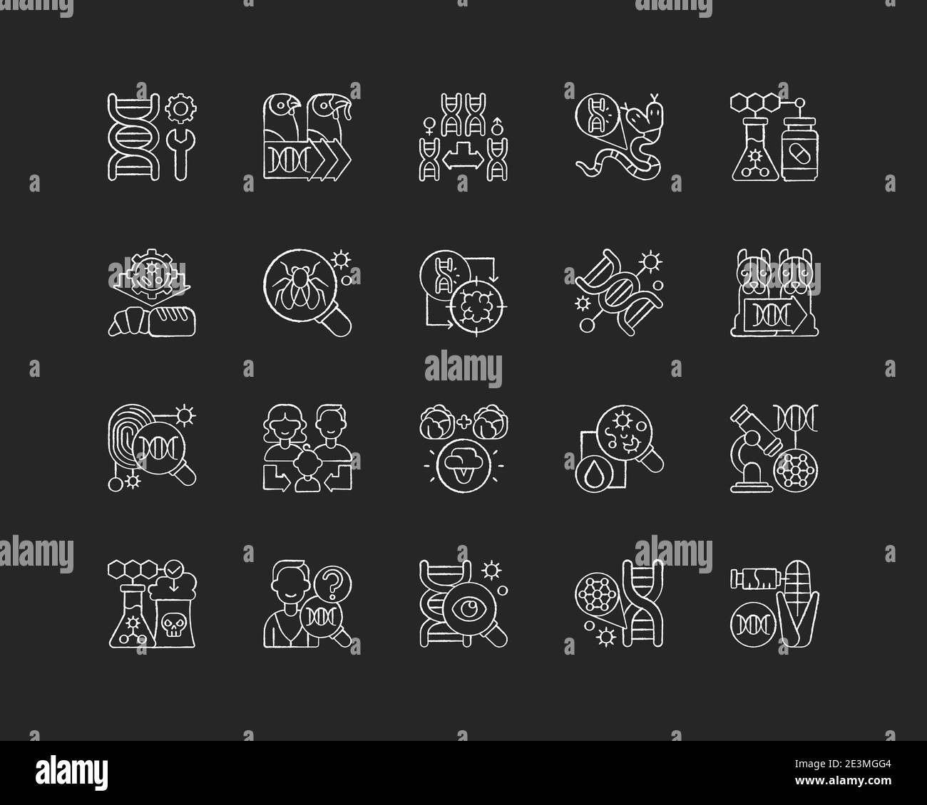 Genetic engineering chalk white icons set on black background Stock ...