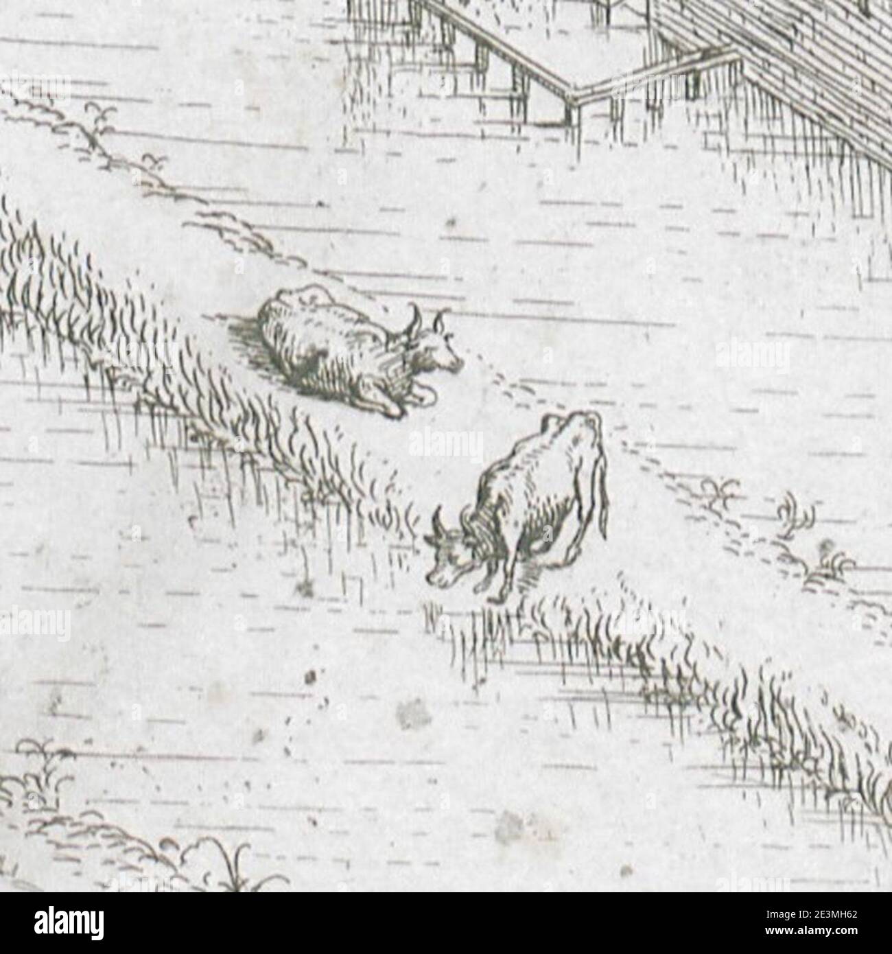 Marcus map hi-res stock photography and images - Alamy