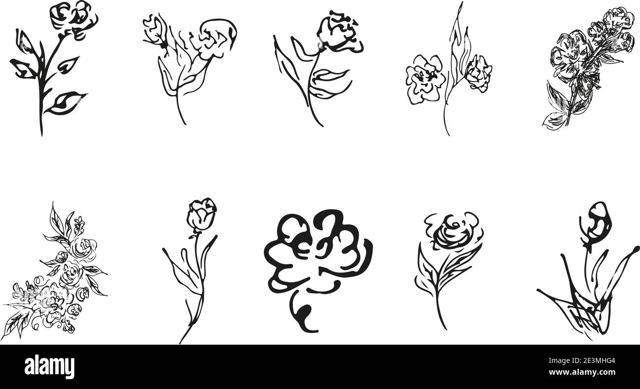 Doodle simple vector collection of 10 hand-drawn roses. Big collection ...