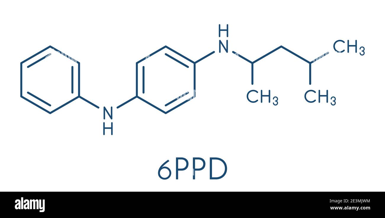 6PPD rubber additive molecule. Toxic to salmon. Skeletal formula Stock ...