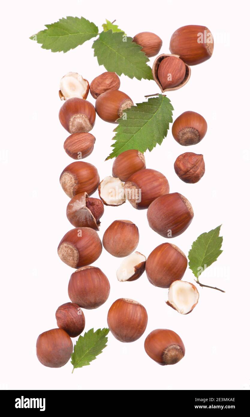 Closeup of hazelnuts, isolated on the white background, clipping path ...