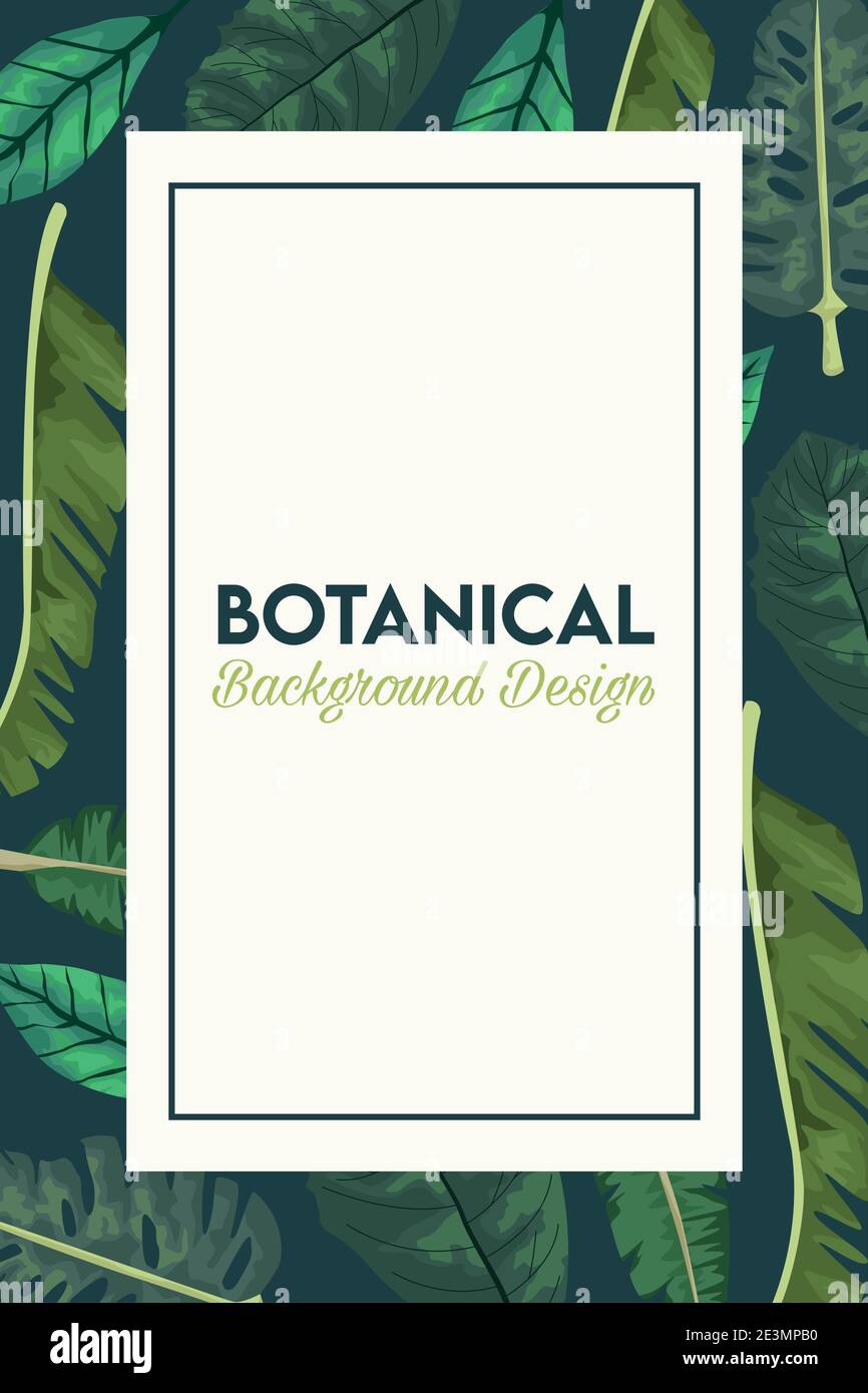 botanical lettering in poster with leafs in rectangle frame vector ...