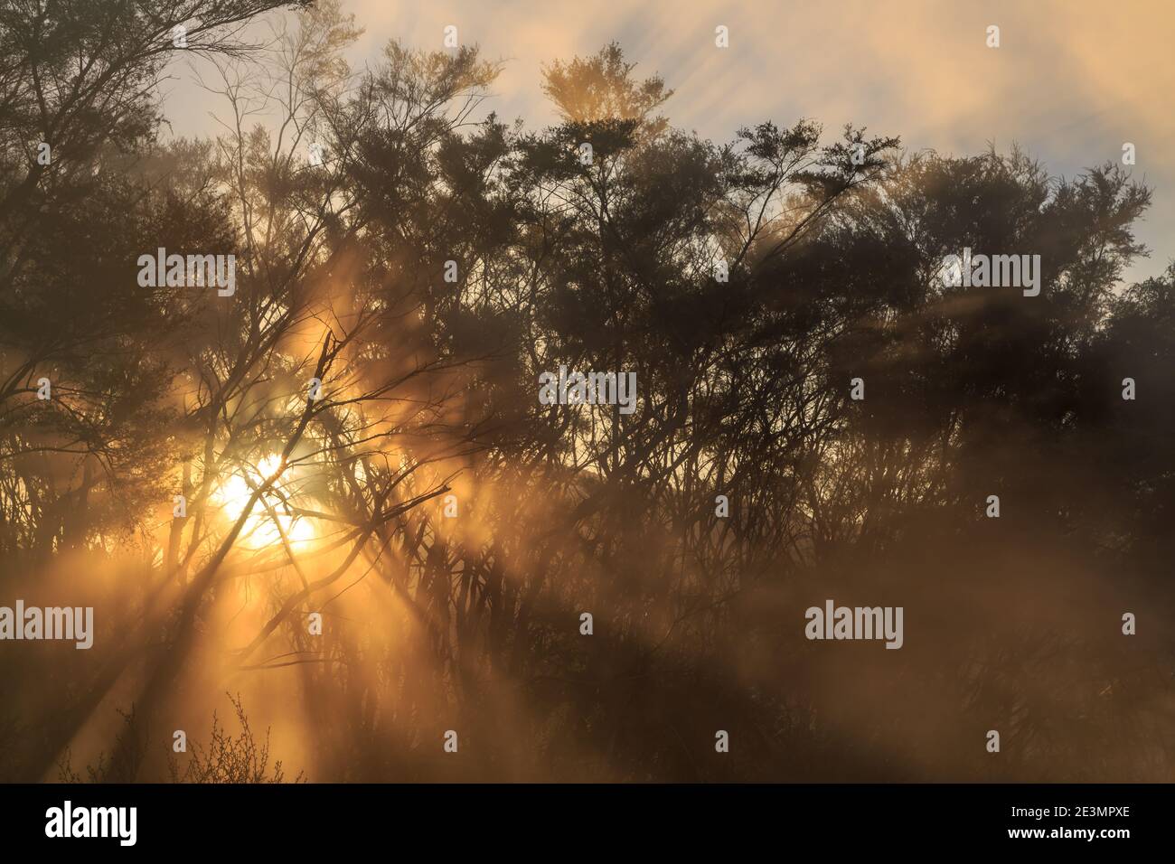 Mist sun rays hi-res stock photography and images - Alamy