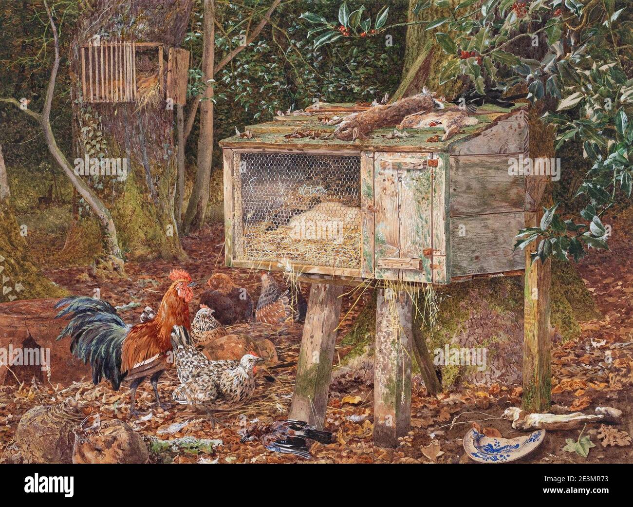 Martin Snape - Snape-98141 - The Ferret Hutch, Rookesbury Park - circa ...