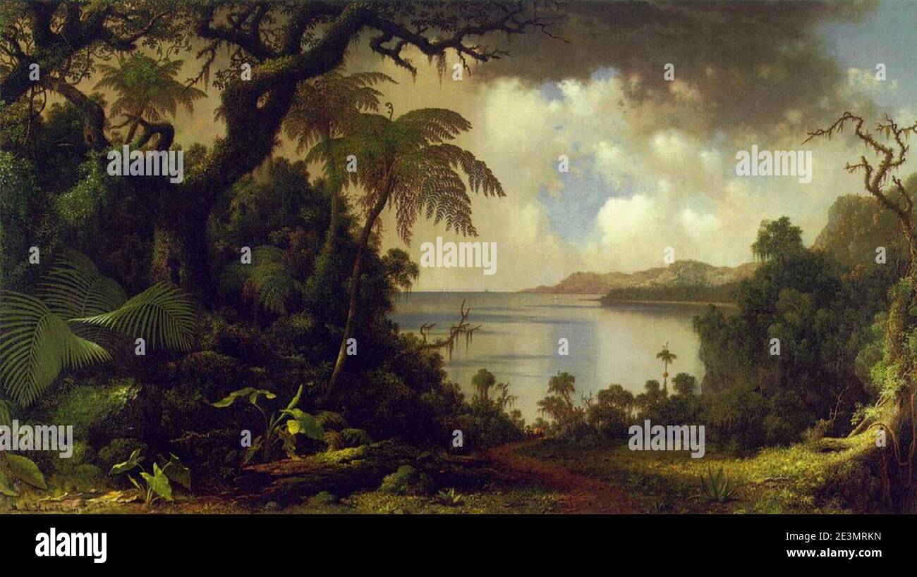Martin Johnson Heade - View from Fern Tree Walk Jamaica ATC Stock Photo ...