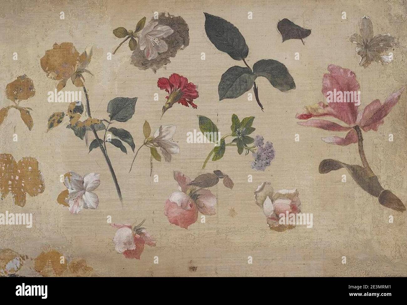 Martin Johnson Heade - Study of Pink Roses, Leaves, Heliotrope, a ...