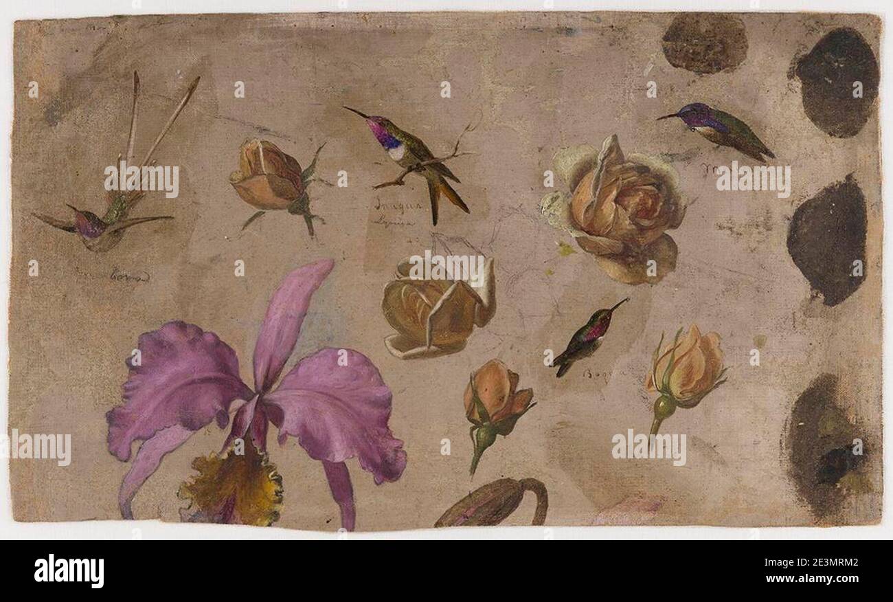 Martin Johnson Heade - Study of Four Hummingbirds with Roses and an ...