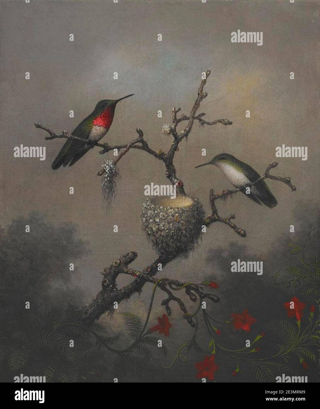 Martin Johnson Heade - Ruby-throated Hummingbird Stock Photo - Alamy