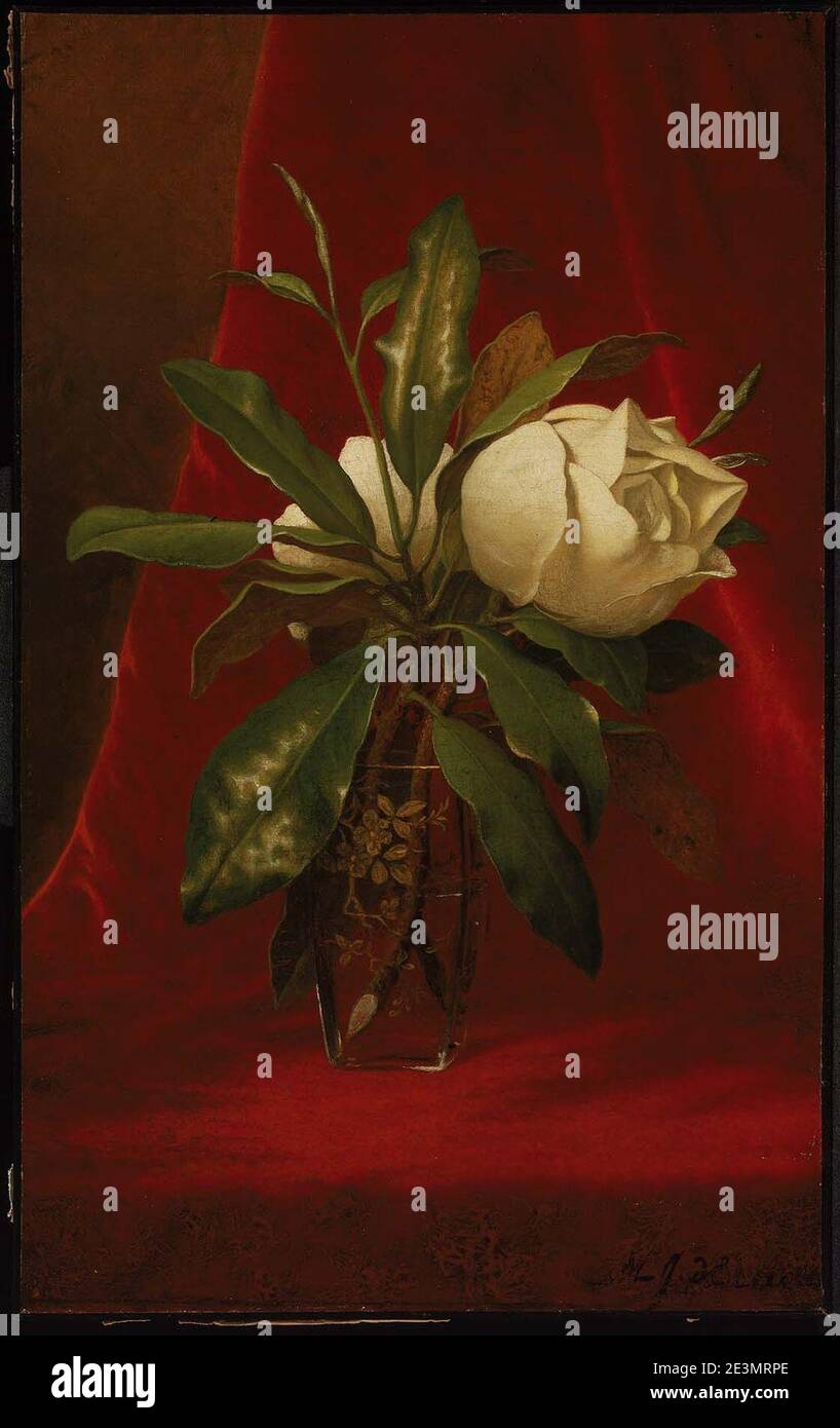 Martin Johnson Heade - Magnolias Stock Photo - Alamy