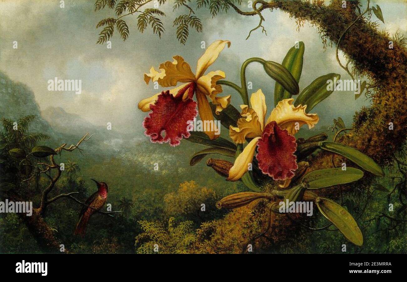 Martin Johnson Heade - Orchids and Hummingbird ATC Stock Photo - Alamy
