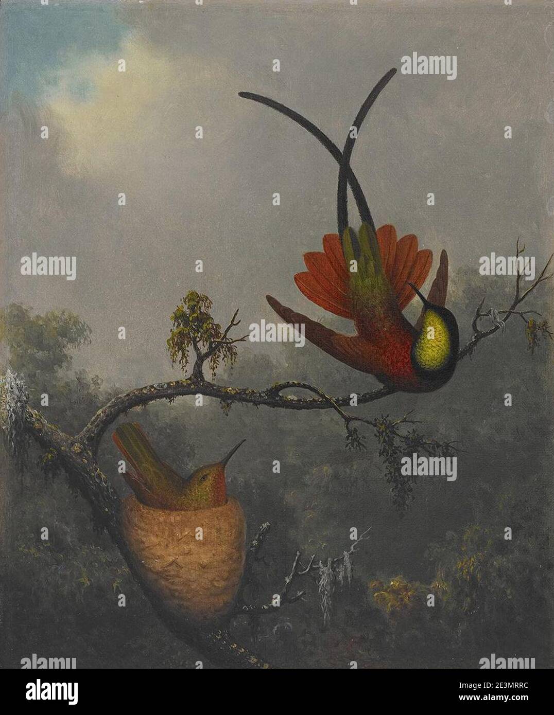 Crimson topaz hi-res stock photography and images - Alamy