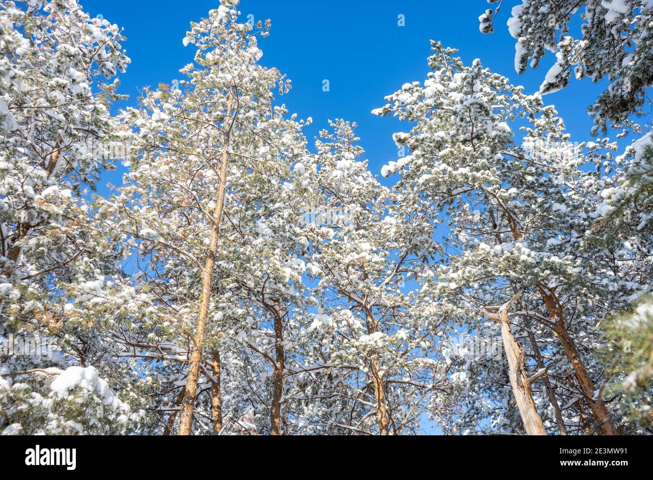 Sunshine after frost hi-res stock photography and images - Alamy