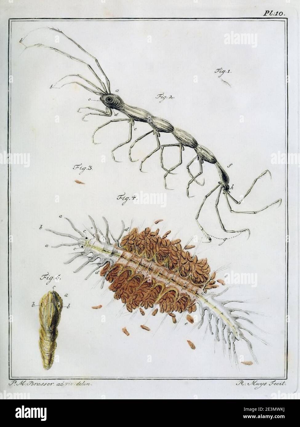 Martinus slabber hi-res stock photography and images - Alamy