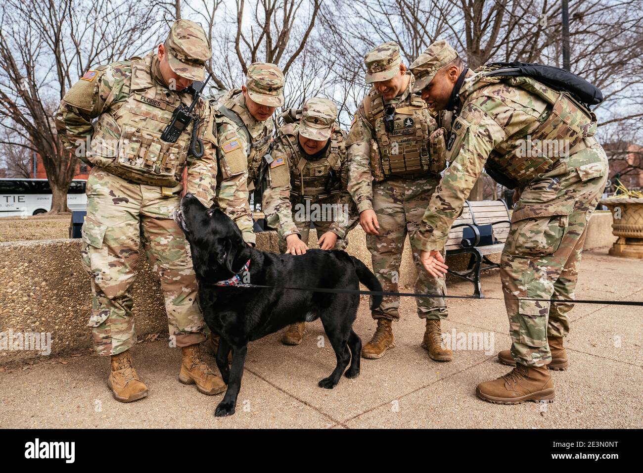 National Guard toops playing with dogs at Lincoln Park in Washington ...