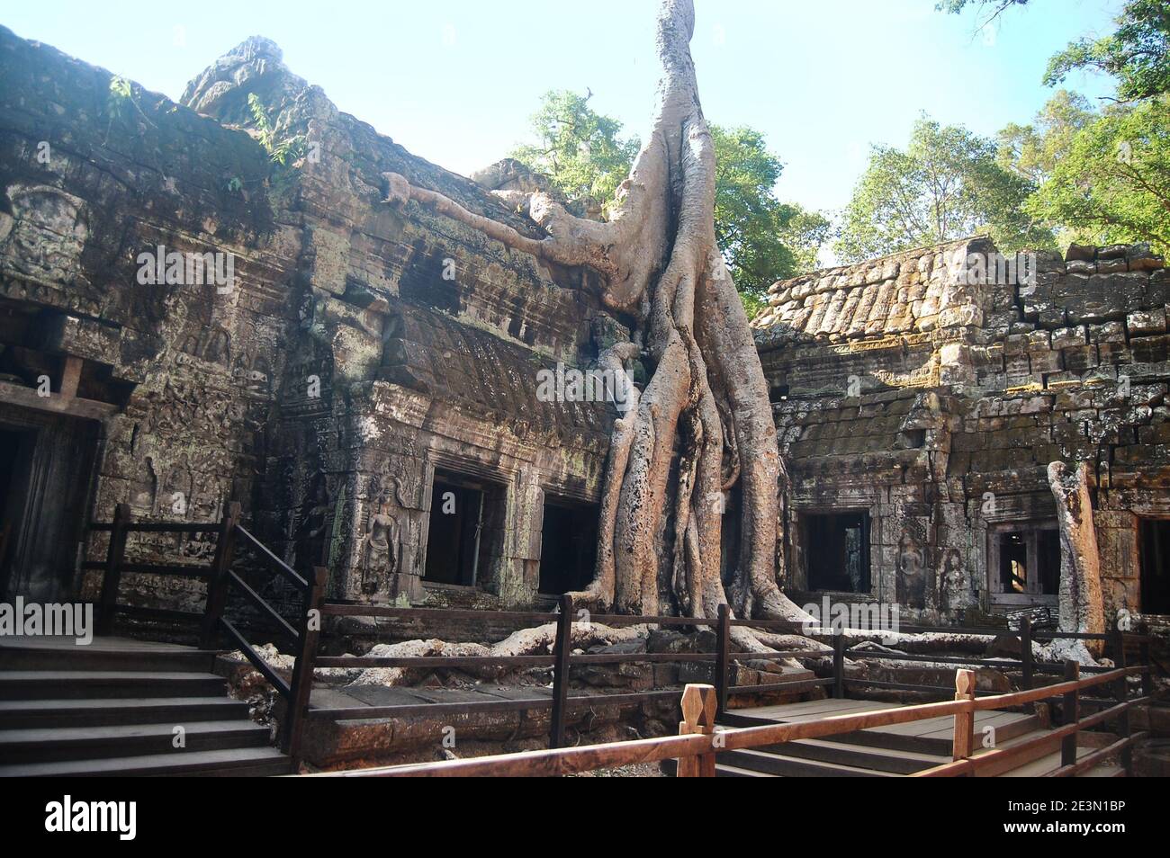 Ta prohm temple covered in tree roots Angkor Wat Cambodia Stock Photo ...