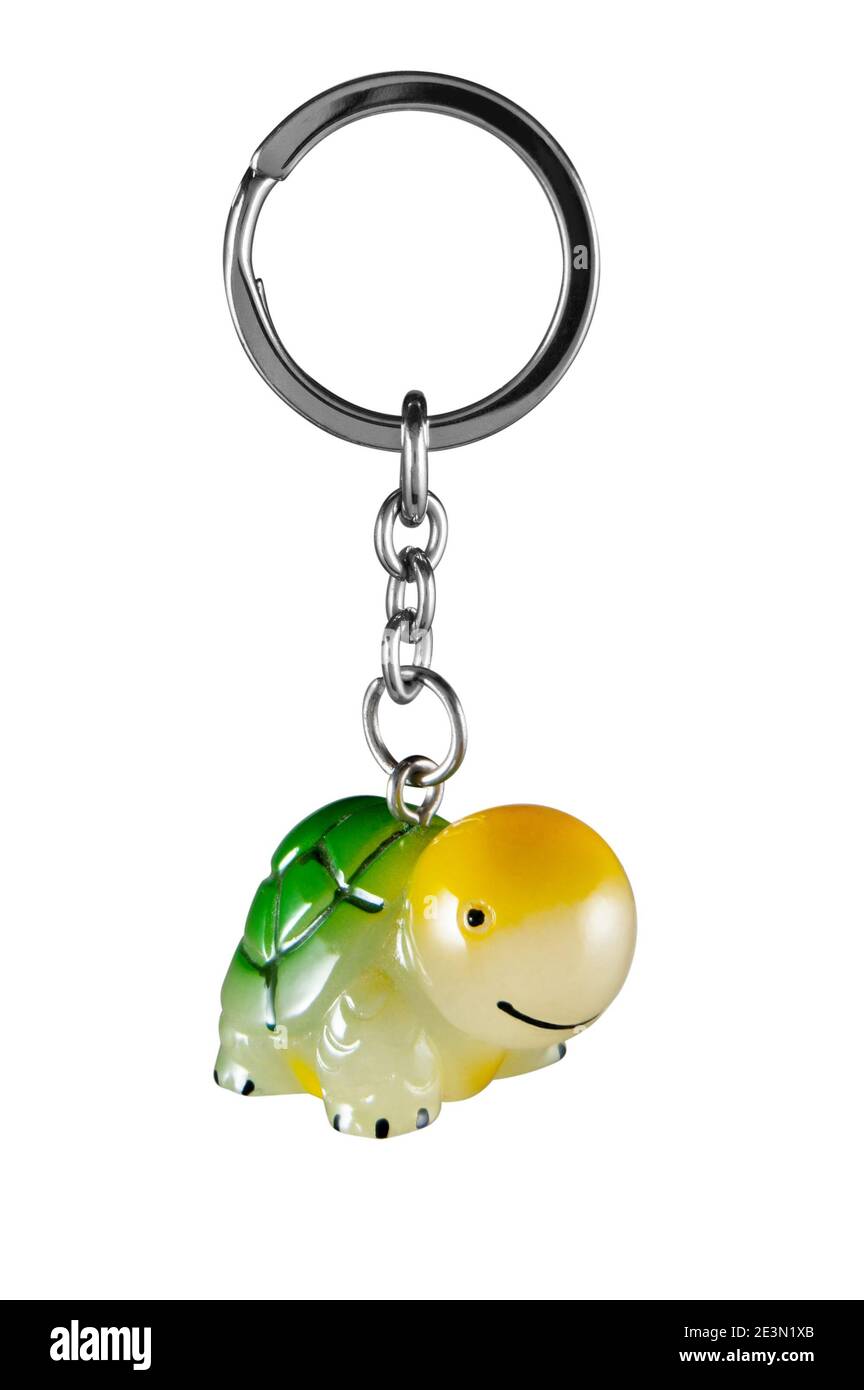 A tortoise key chain with a ring for keys isolated on white with ...