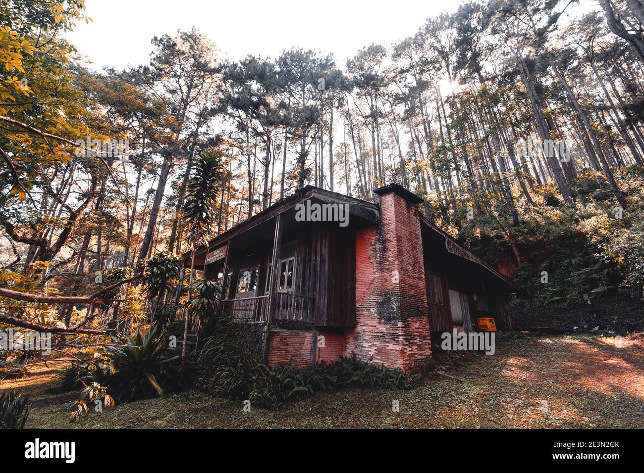 The old house in the spring forest Stock Photo - Alamy