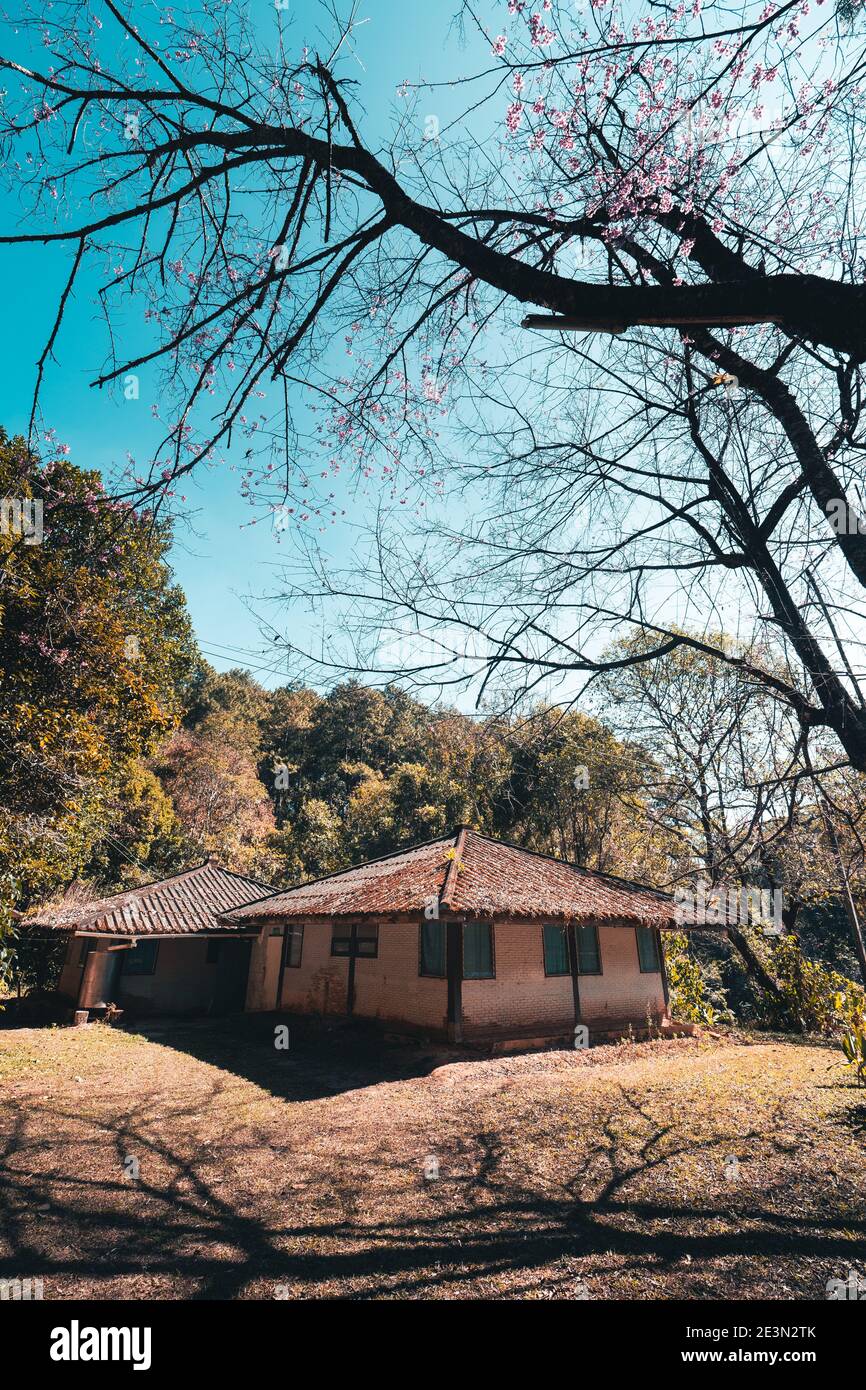 The old house in the spring forest Stock Photo - Alamy