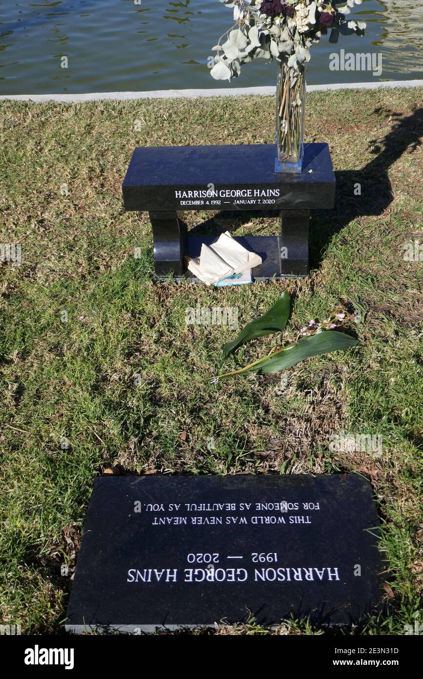 Los Angeles, California, USA 17th January 2021 A general view of atmosphere of actor Harrison ...