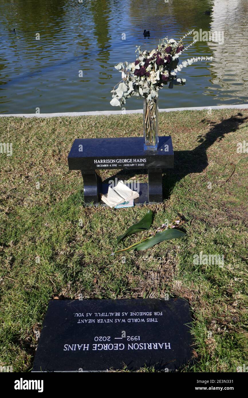 Los Angeles, California, USA 17th January 2021 A general view of atmosphere of actor Harrison ...