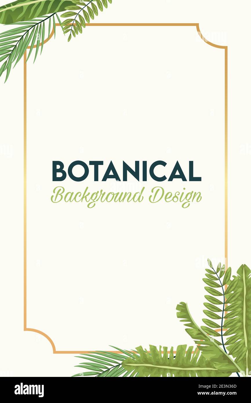 botanical lettering in poster with leafs in golden frame vector ...