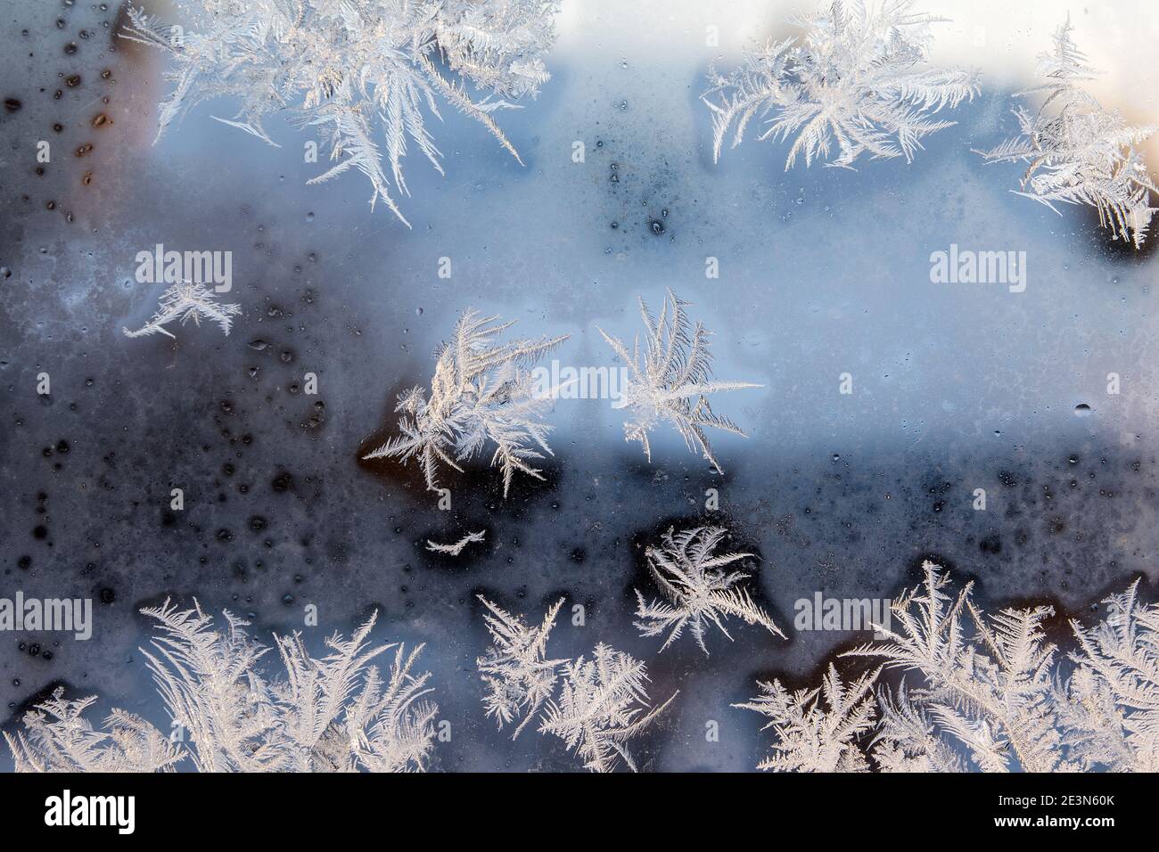Condensation, heating season. Ice flower on a frozen window Stock Photo ...