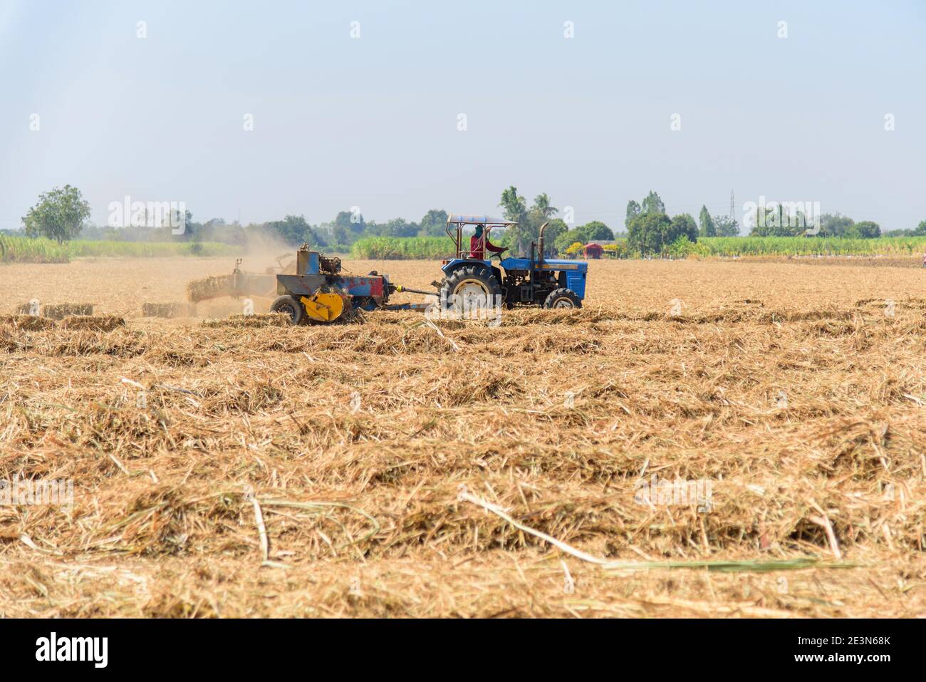 Tractor in sugar cane field hi-res stock photography and images - Alamy