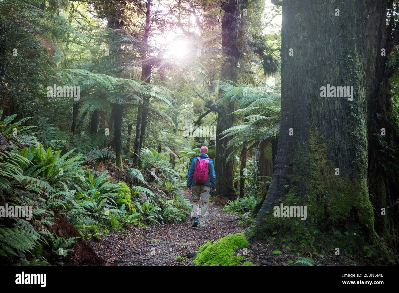 Hiking and tramping in New Zealand. Travel and adventure concept Stock ...