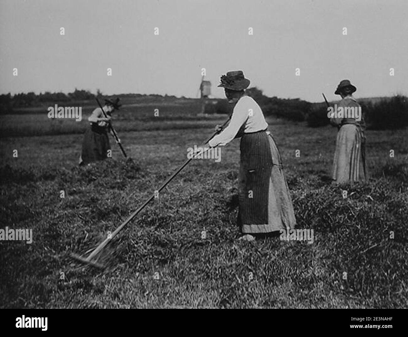 Heuernte heuernte Black and White Stock Photos & Images - Alamy