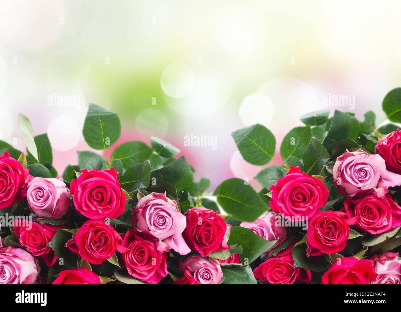 pile of pink flowers Stock Photo - Alamy